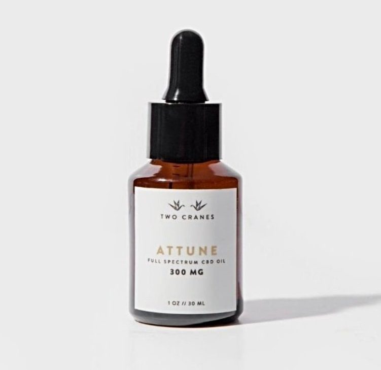 Seattleite Holiday Gift Guide 2019 – S E A T T L E I T E