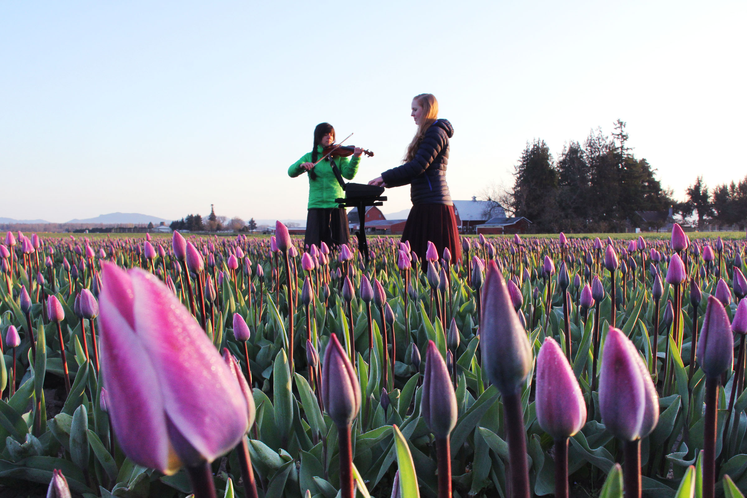 Tulip Town Serenades By The Musical Mountaineers – S E A T T L E I T E